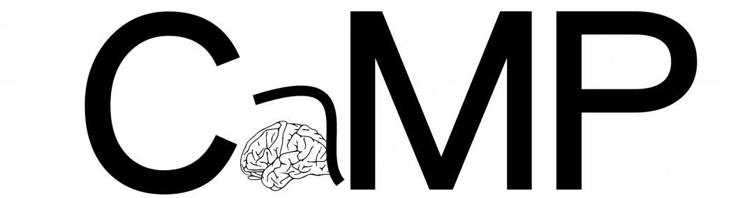 Publications – Cognitive and Motor Performance Lab